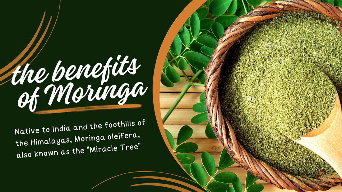 Premium Moringa – ecapemoringa